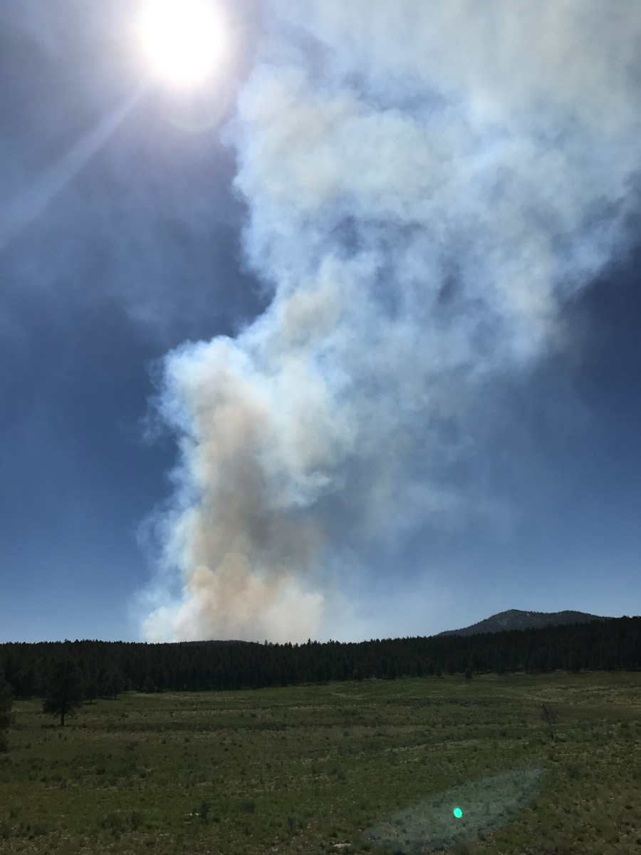 | Carson National Forest Bonita Wildfire Update 6/12/17NM Fire Info