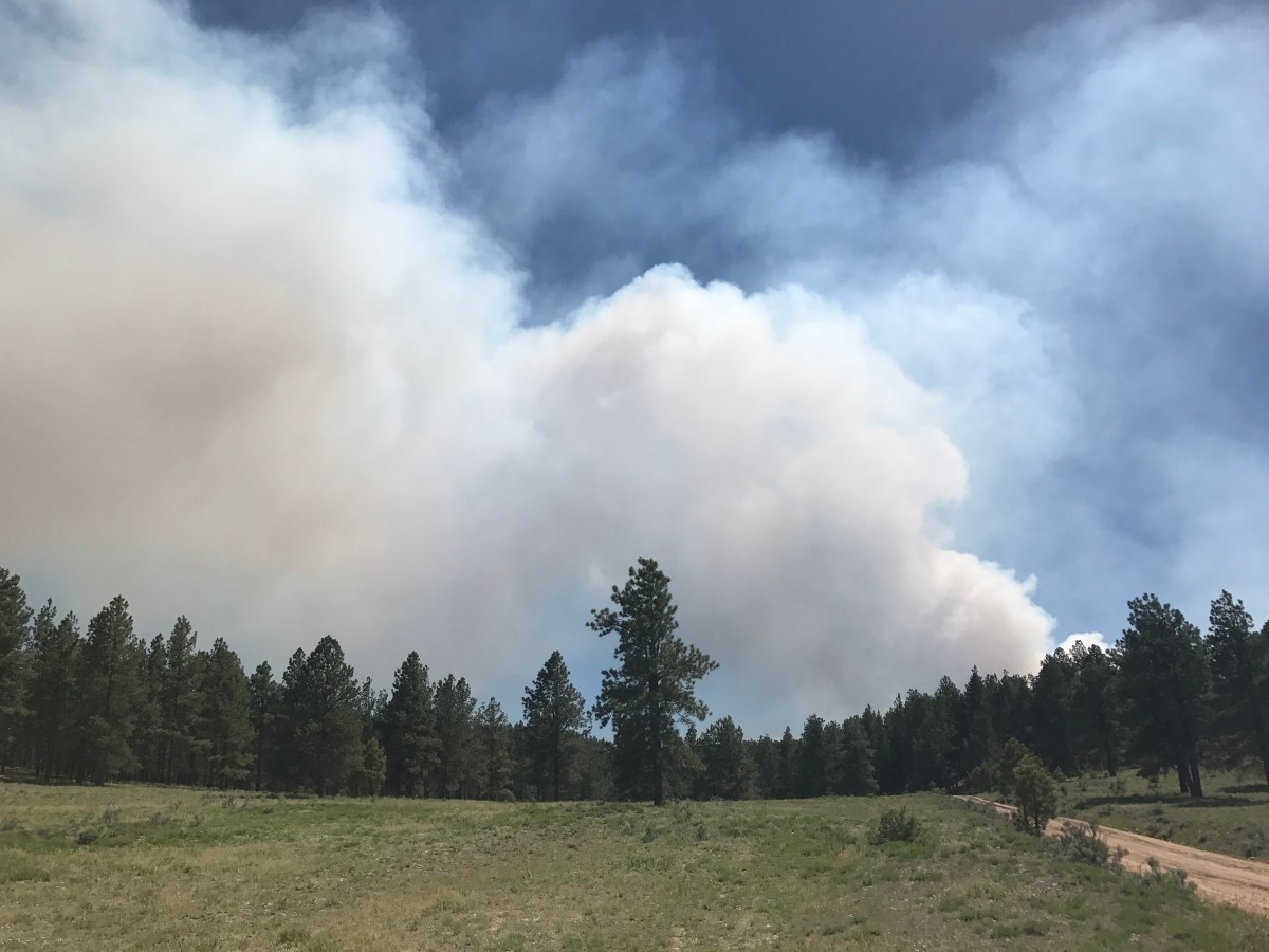 | Carson National Forest Bonita Wildfire Update June 17th 2017NM Fire Info