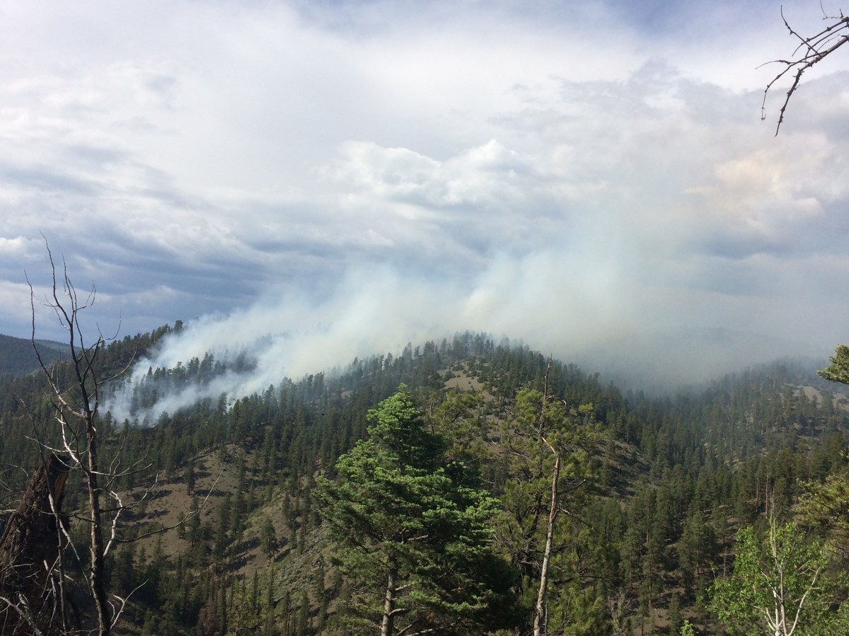 | Carson National Forest Bonita Wildfire UpdateNM Fire Info