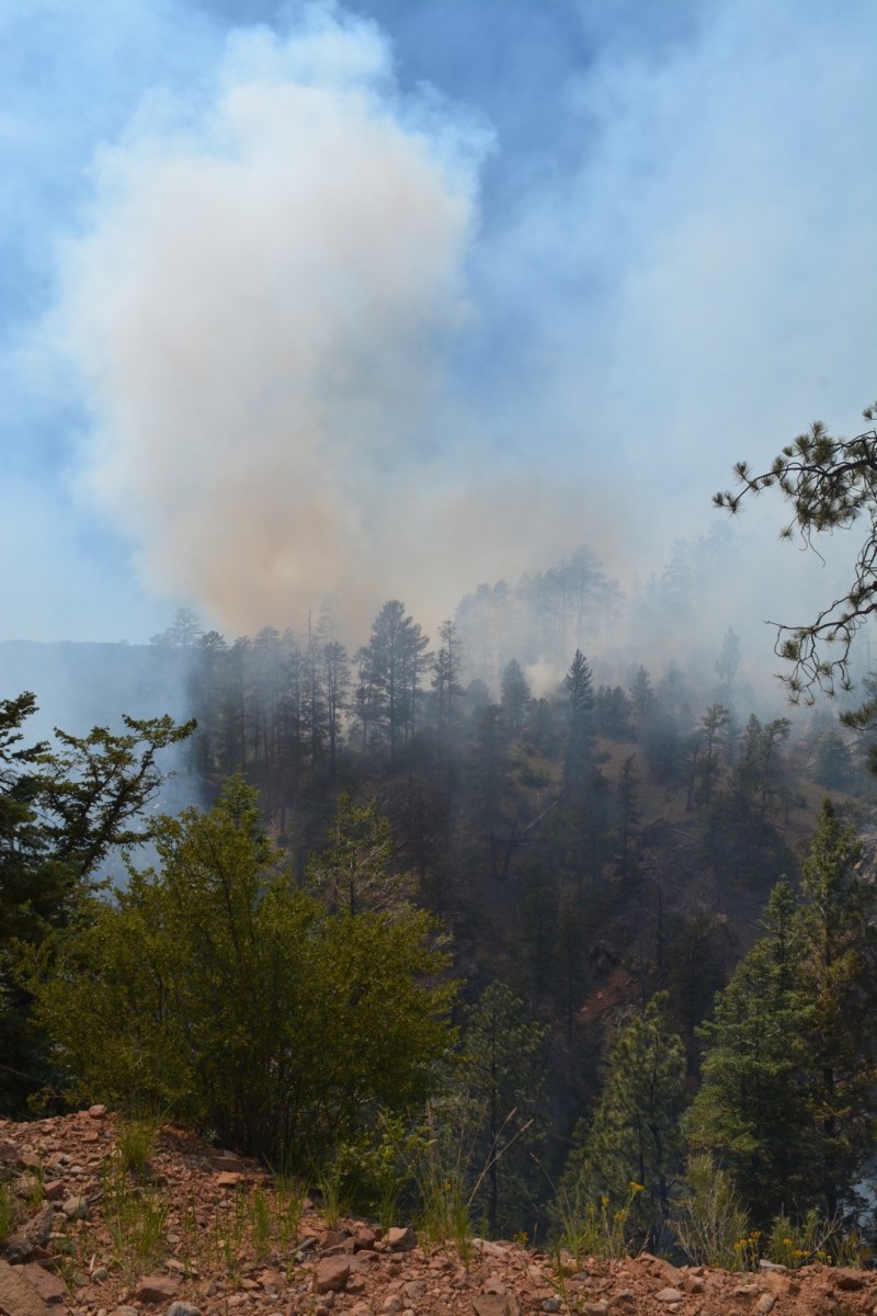 | Carson National Forest Bonita Wildfire Update 6/16/2017NM Fire Info