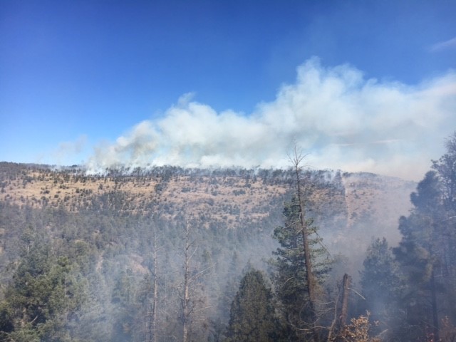 | Lincoln National Forest, Sacramento Ranger District – Prescribed Fire ...