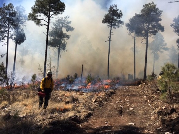 | Lincoln National Forest, Sacramento Ranger District – Prescribed Fire ...
