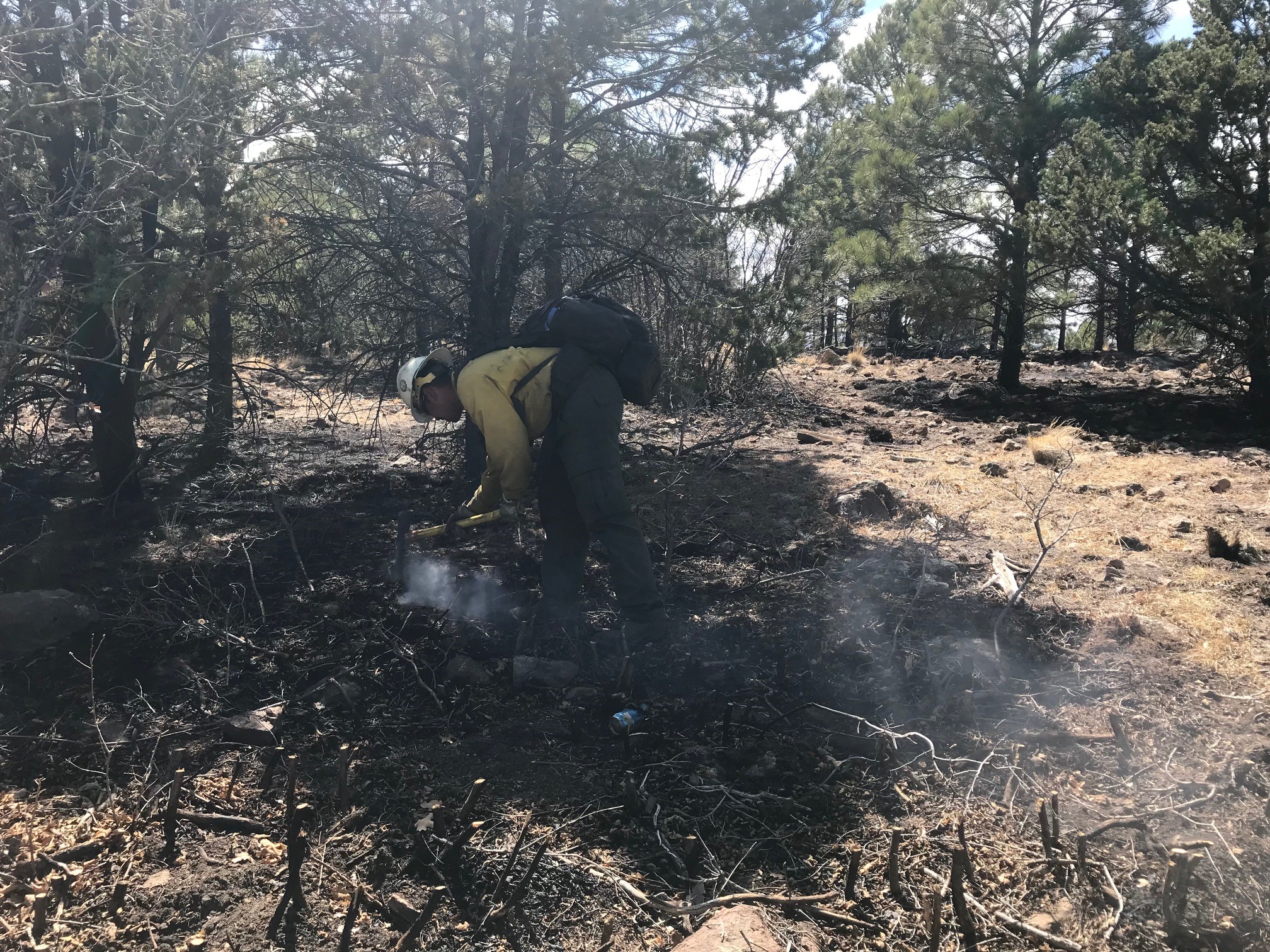 | UPDATE: Chicoma Fire 100 percent containedNM Fire Info