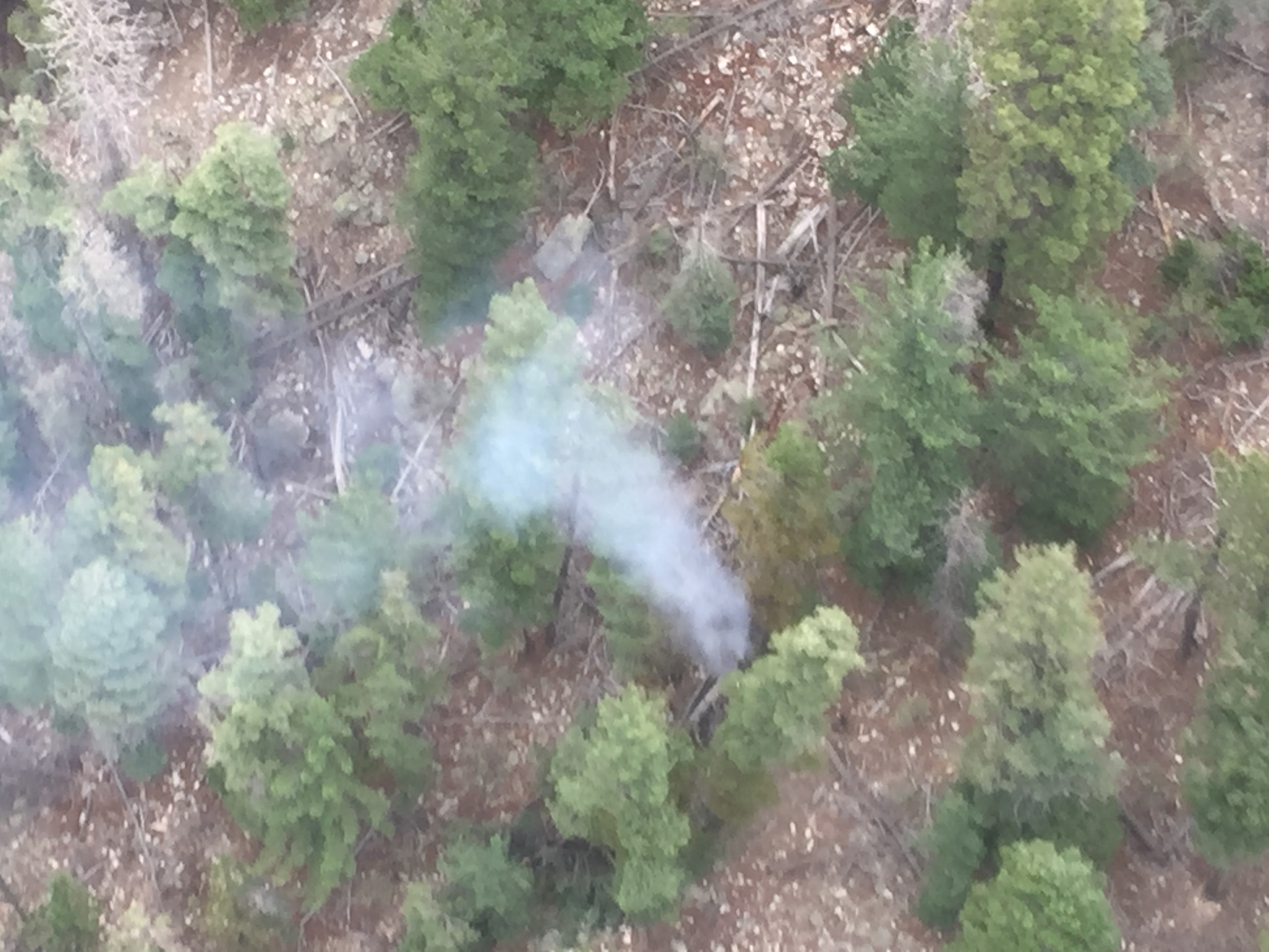 | 7/14/18- Lobo Fire- Carson National ForestNM Fire Info