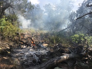 | Lincoln National Forest- Smokey Bear Ranger District- Lone Mountain ...