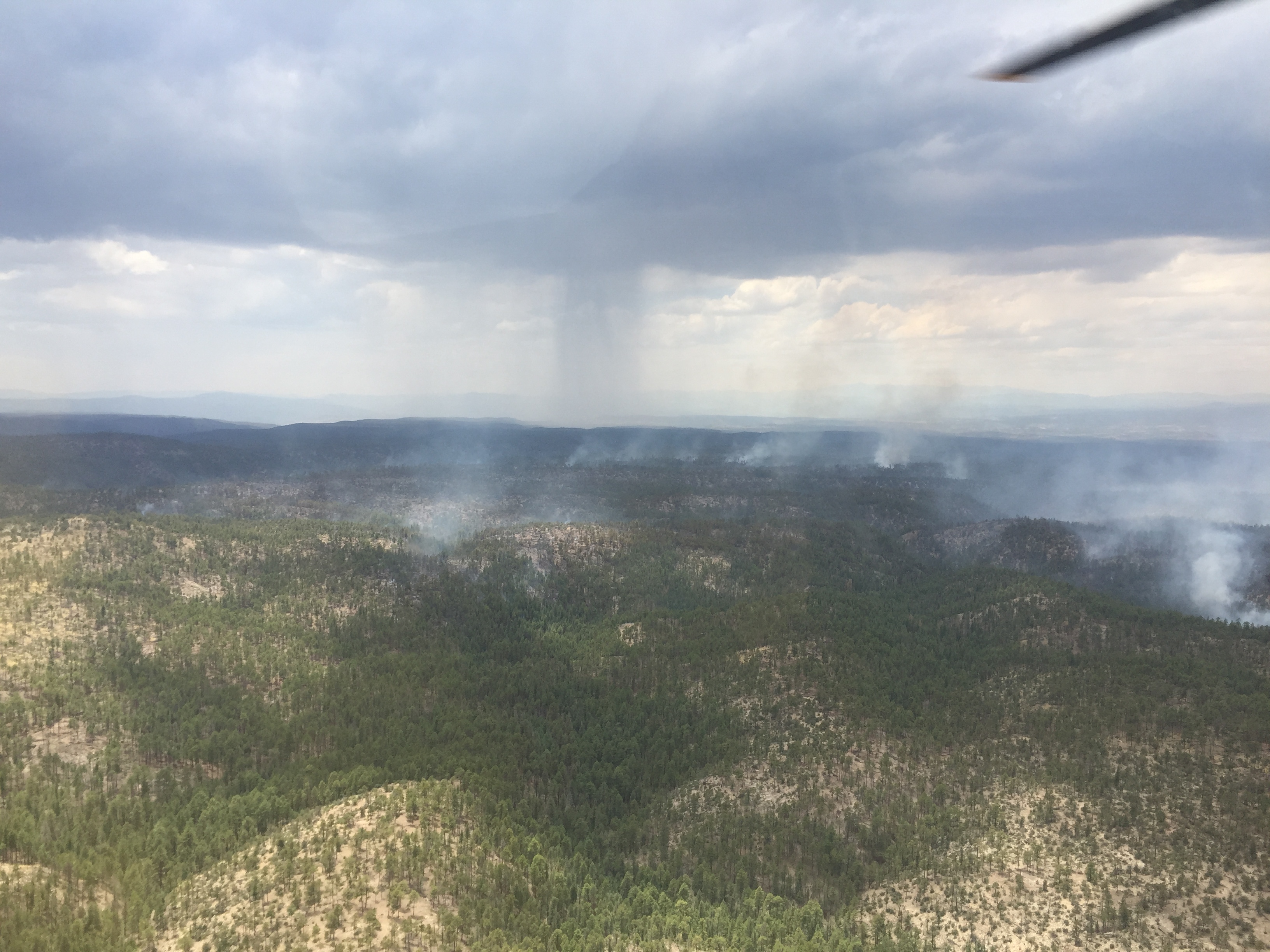 | Gila National Forest – South Fire Update for July 6, 2019NM Fire Info