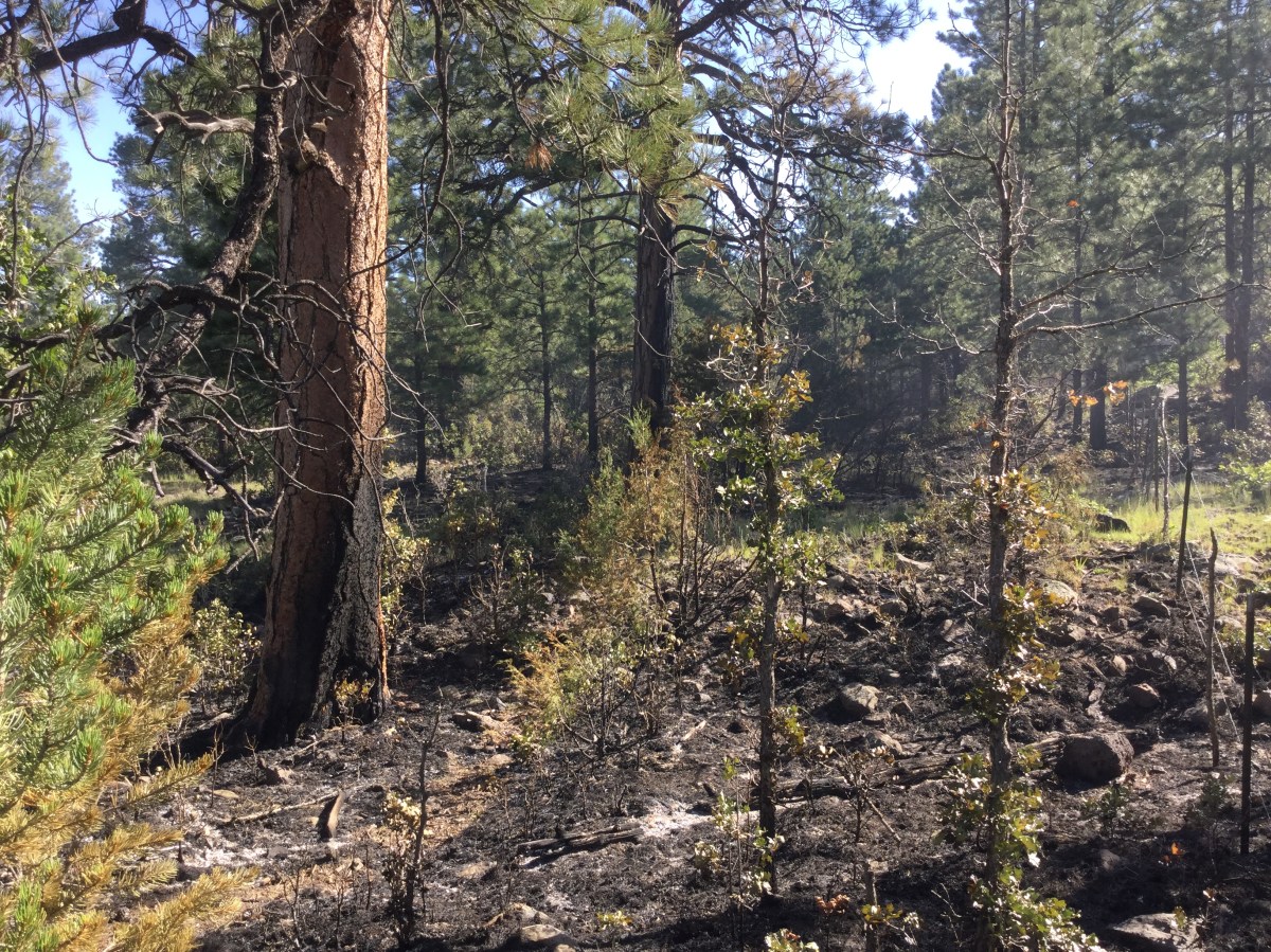 | Ignitions Completed on Triple Nickle FireNM Fire Info