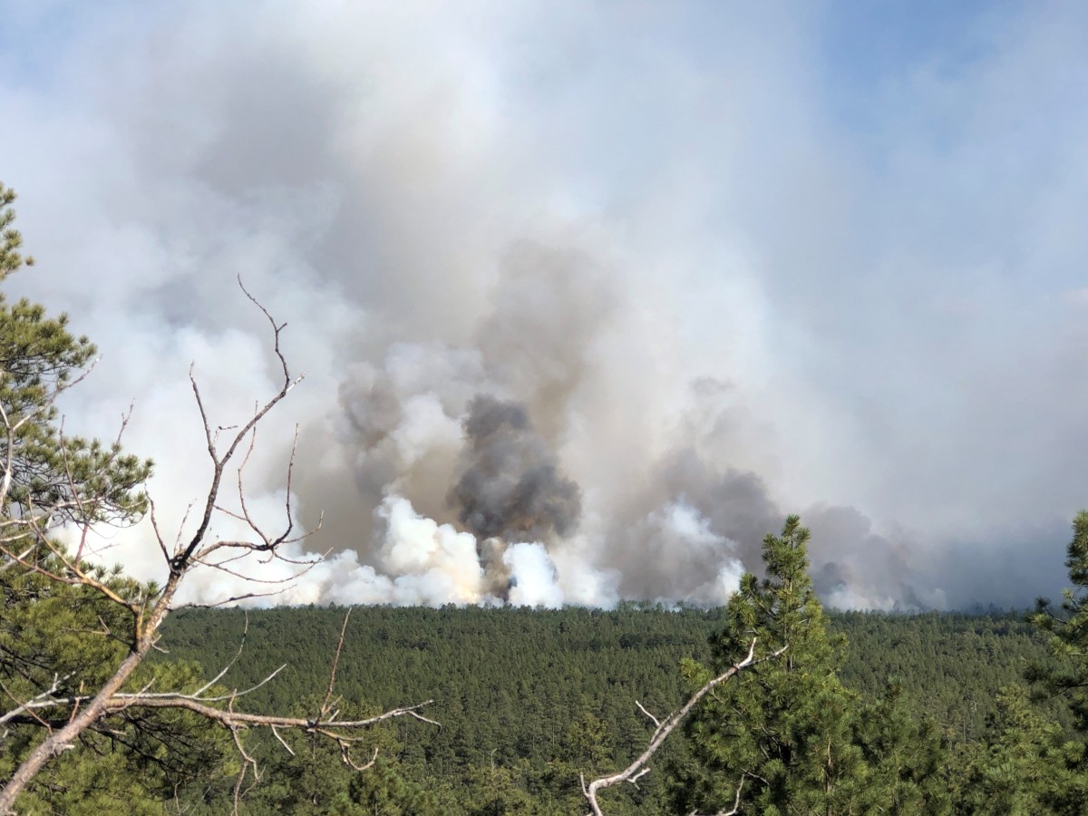 | Burn Operations Continue on Triple Nickle FireNM Fire Info