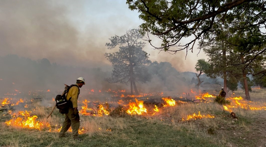 | Magdalena Ranger District Continues Durfee Bolander Prescribed Fire ...