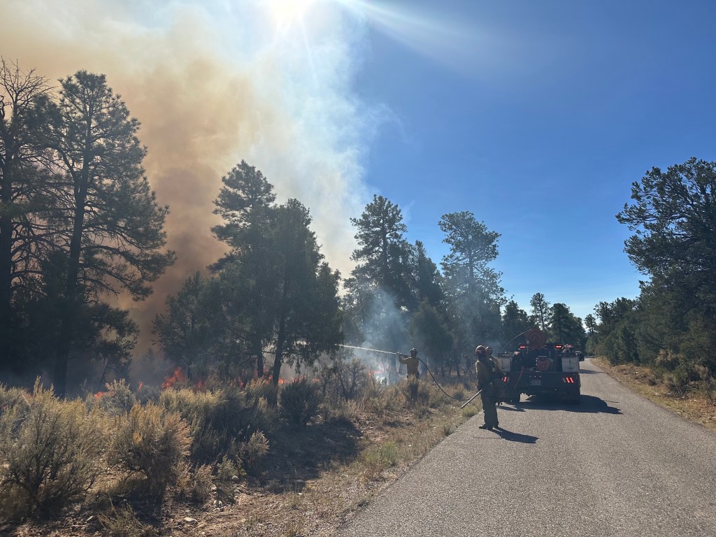 | Prescribed Fire Near Canjilon Nears CompletionNM Fire Info