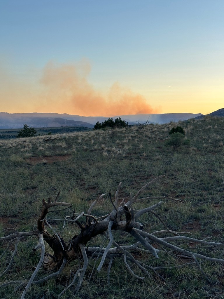 | Indios Wildfire Update (5/20/2024 – 2050)NM Fire Info