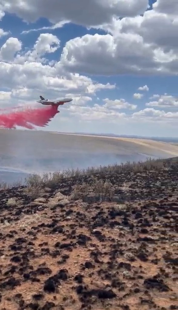 | Update: Buck Fire southeast of Aragon, NMNM Fire Info