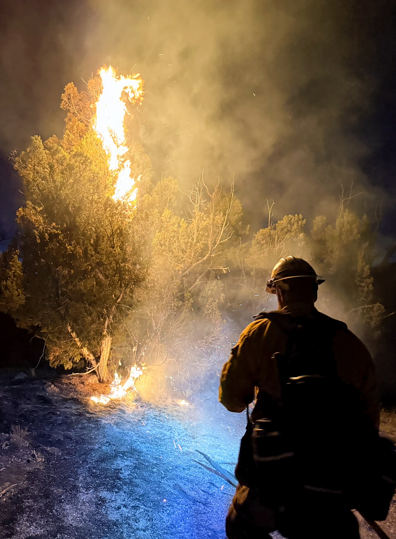 | CANON SECO FIRE UPDATENM Fire Info