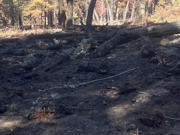 | Osha Canyon Fire – June 21 UpdateNM Fire Info